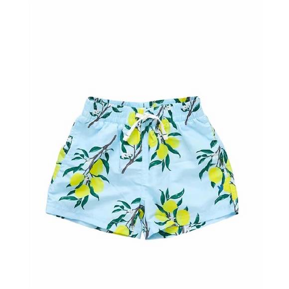 Pink Chicken | Swim | New Pink Chicken Swim Trunks In Lemon Branch ...